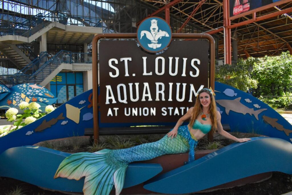 MERMAIDS ON THE MISSISSIPPI Fantastic Family Festival at the St. Louis ...